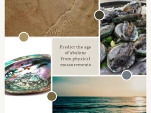 Predicting the age of abalone from physical measurements Part 1 - Projects Based Learning